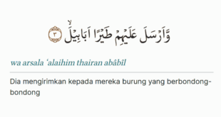 Kandungan, Bacaan Surat al Fil dan Artinya