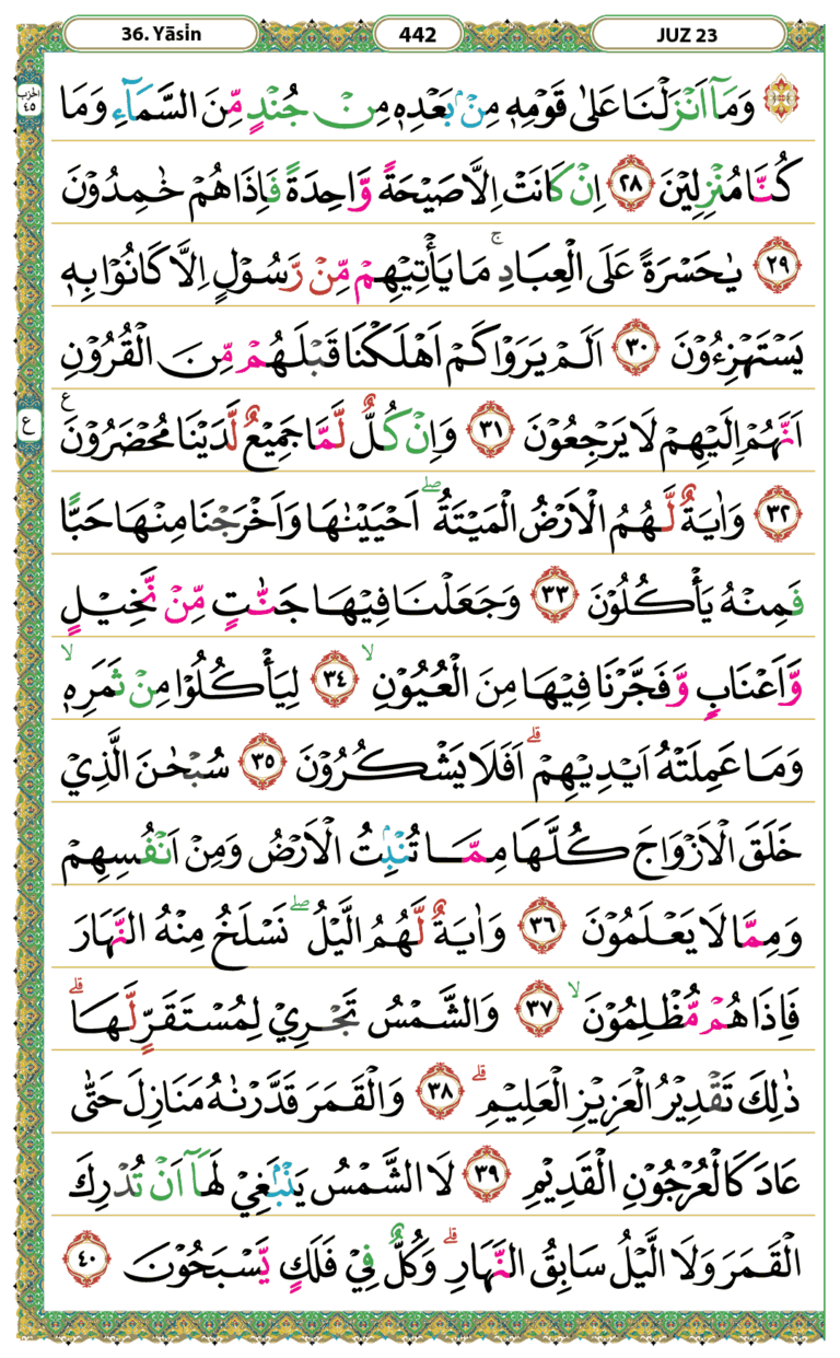 Surah Yasin Full: Arab, Latin, Arti dan Manfaatnya